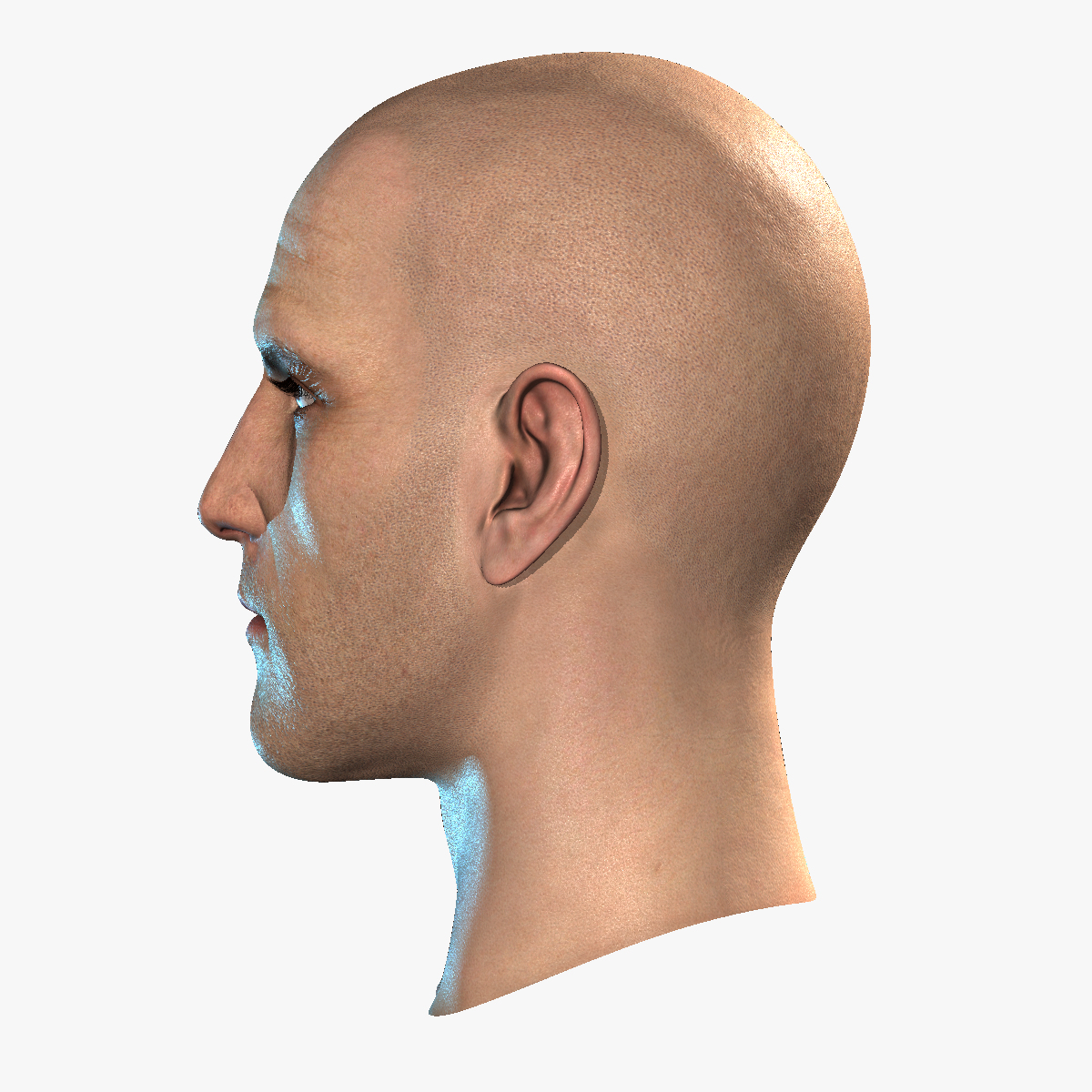 obj male head real-time 12