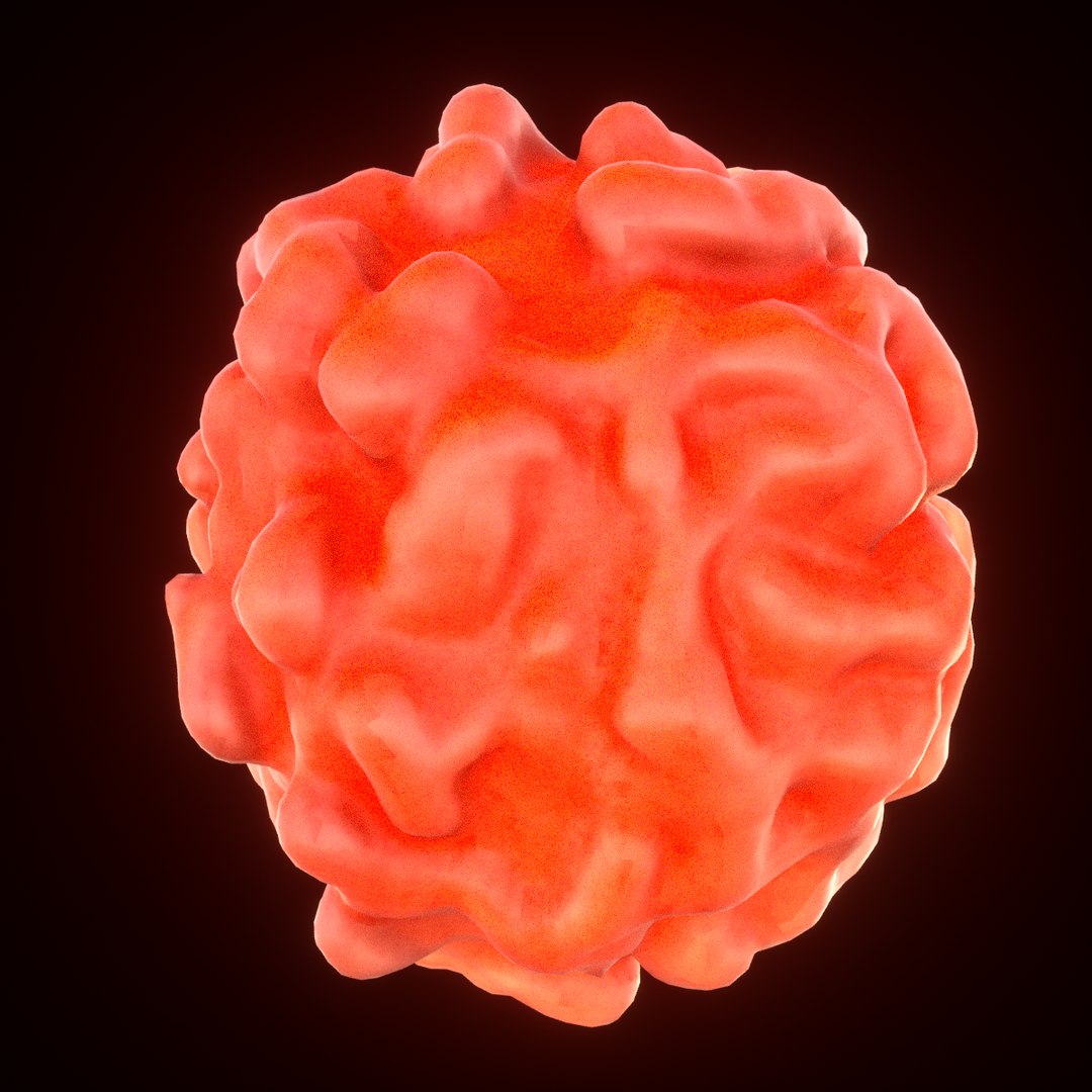 3D Model T Lymphocytes - TurboSquid 1387990