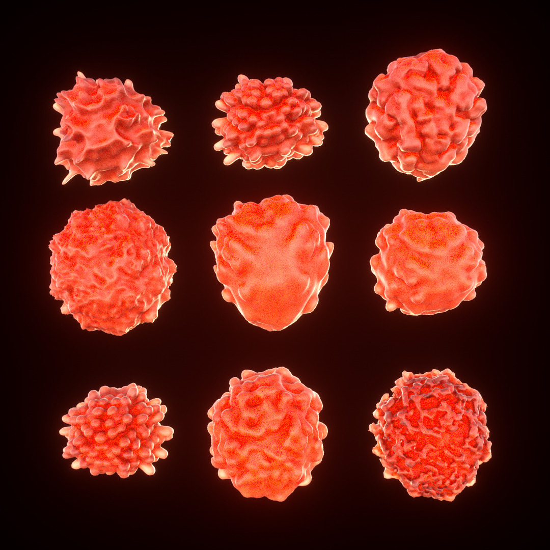 3D Model T Lymphocytes - TurboSquid 1387990