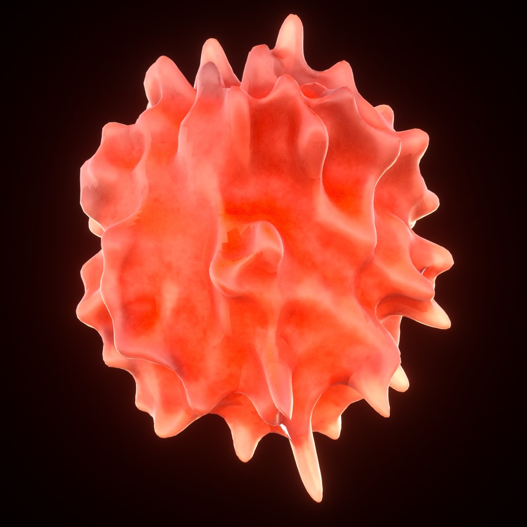 3D Model T Lymphocytes - TurboSquid 1387990