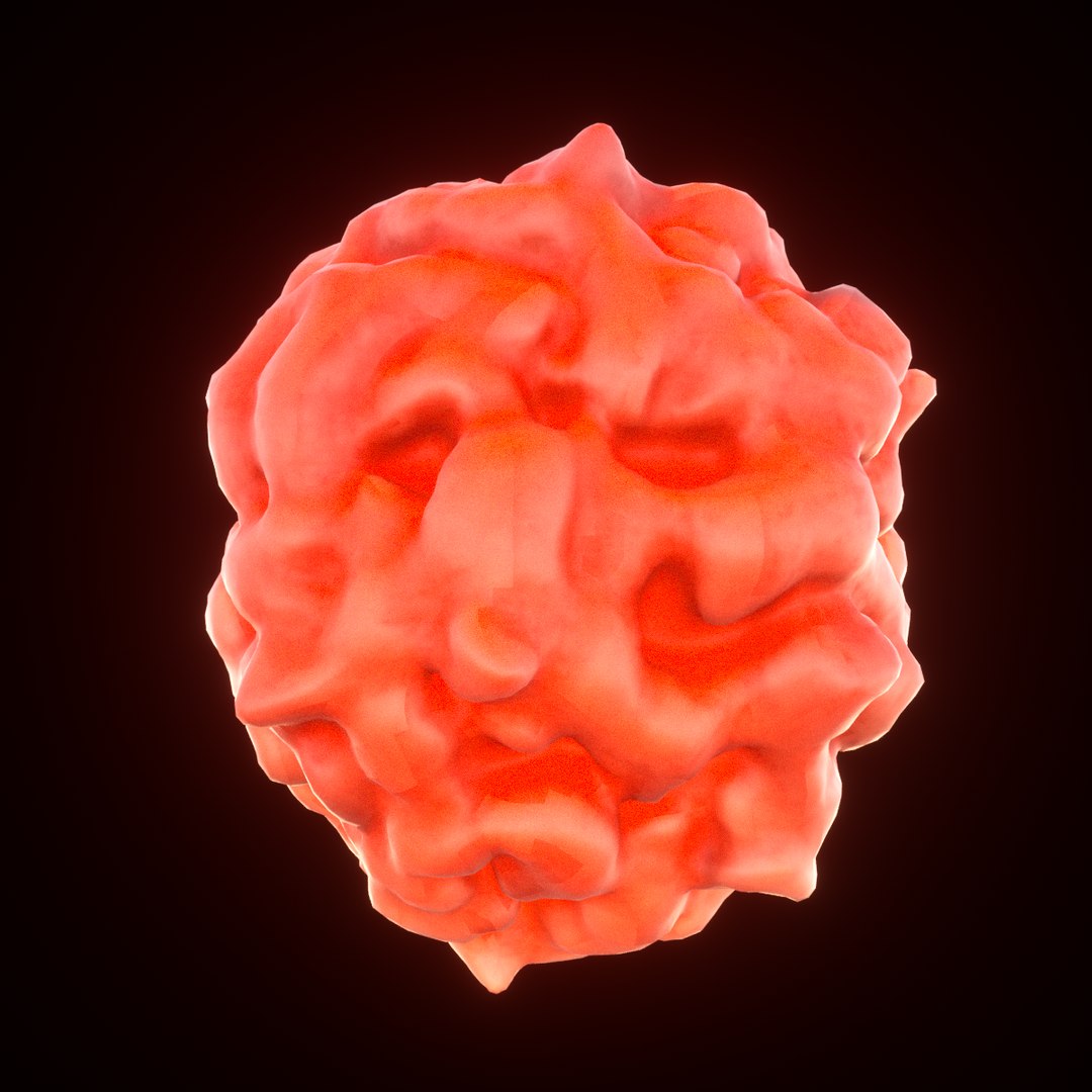 3D Model T Lymphocytes - TurboSquid 1387990