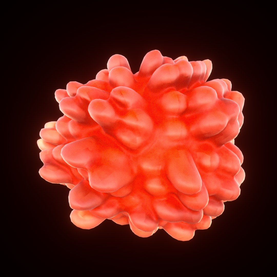 3D Model T Lymphocytes - TurboSquid 1387990