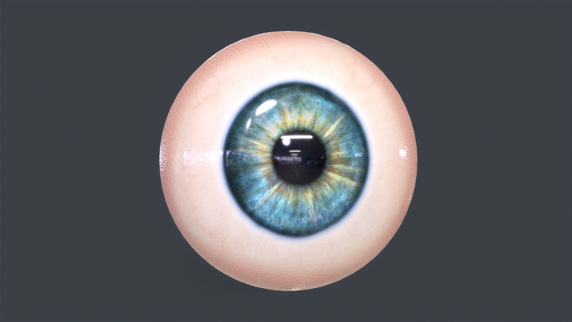 Human Eyeball Collection 3D - TurboSquid 1881835