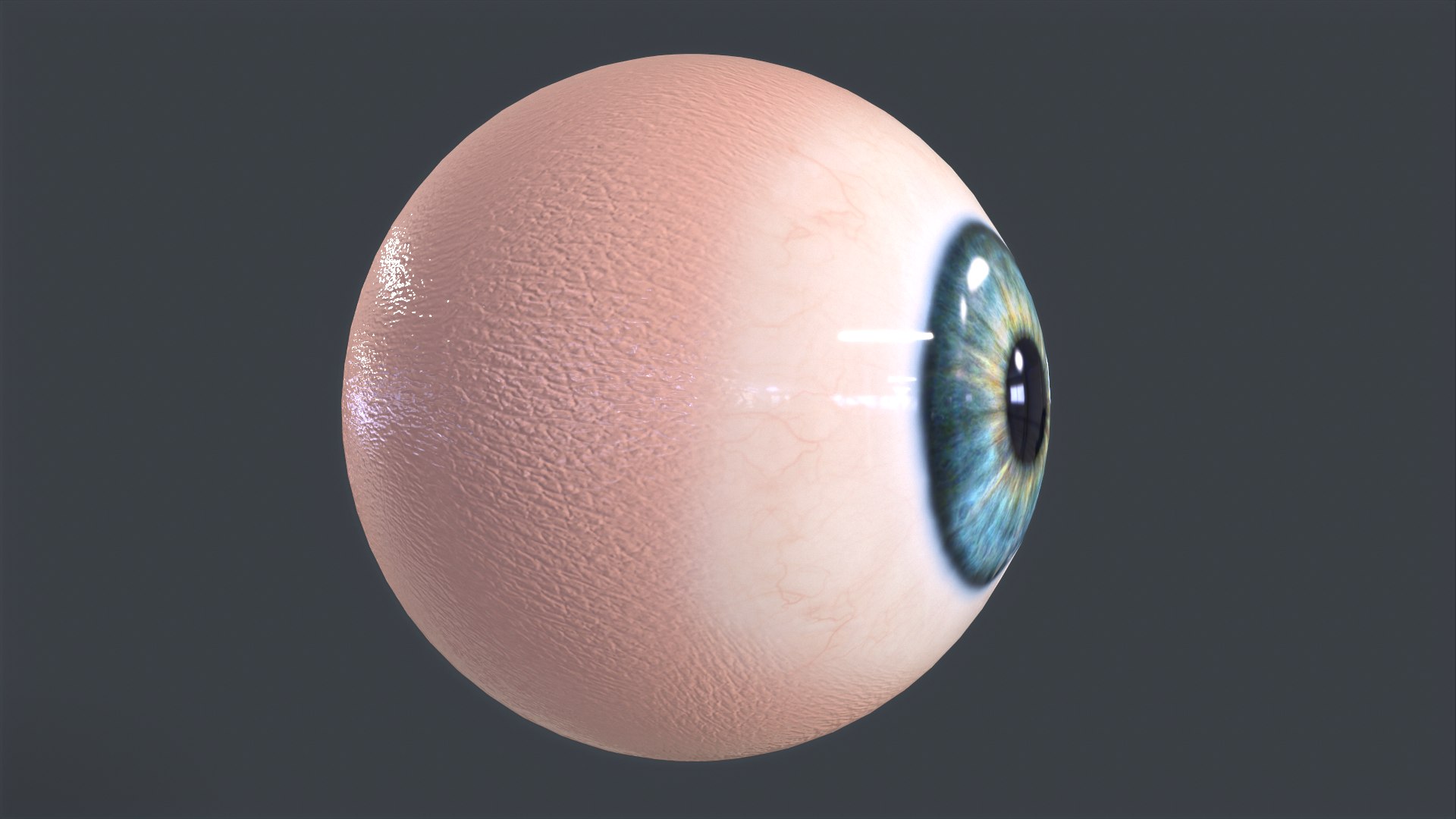 Human Eyeball Collection 3D - TurboSquid 1881835