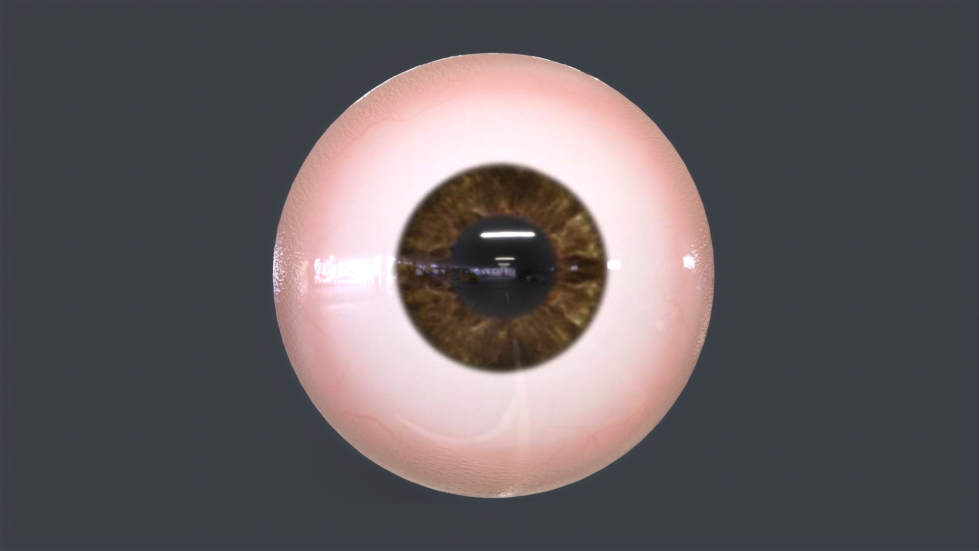 Human Eyeball Collection 3D - TurboSquid 1881835