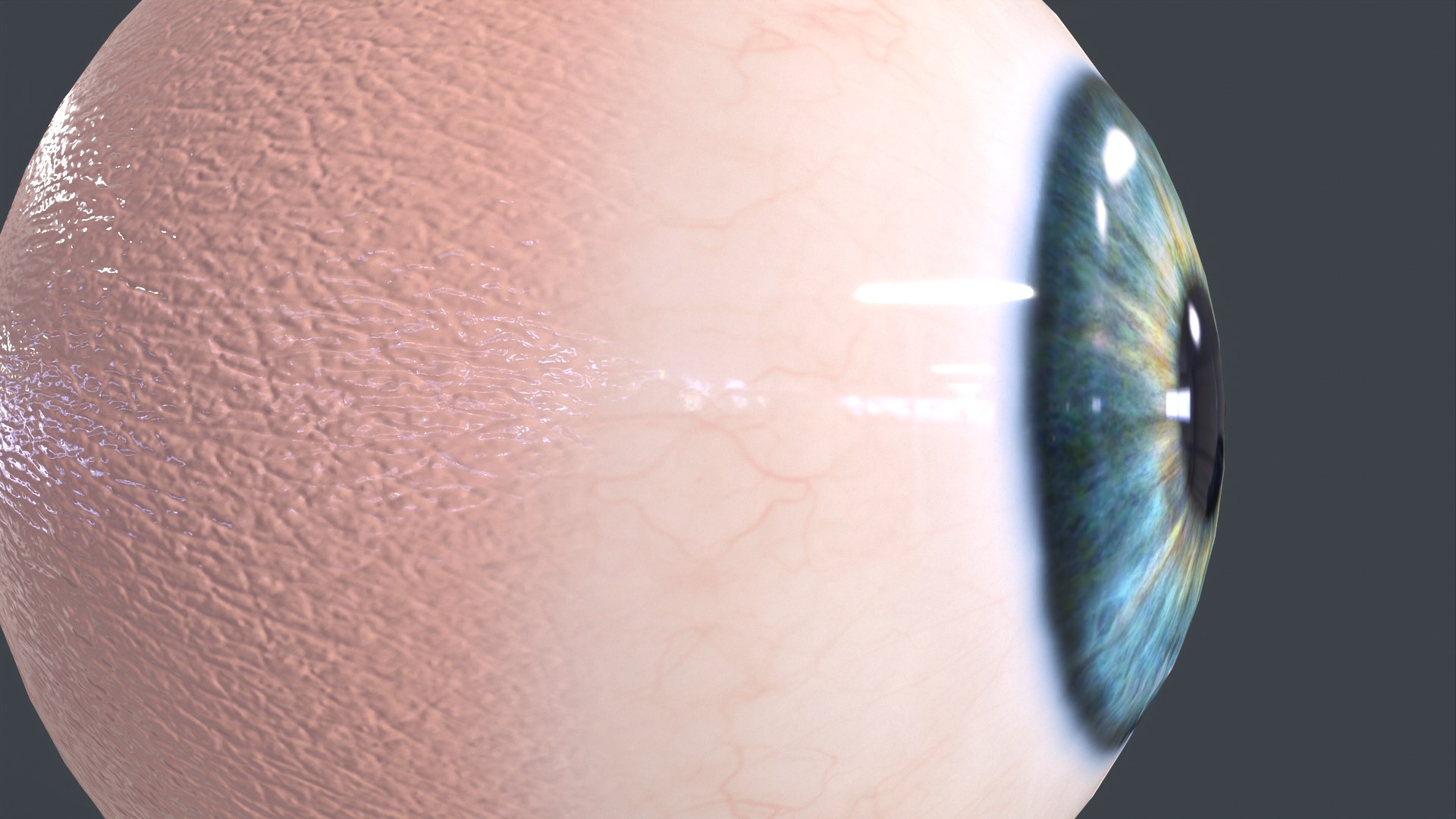 Human Eyeball Collection 3D - TurboSquid 1881835