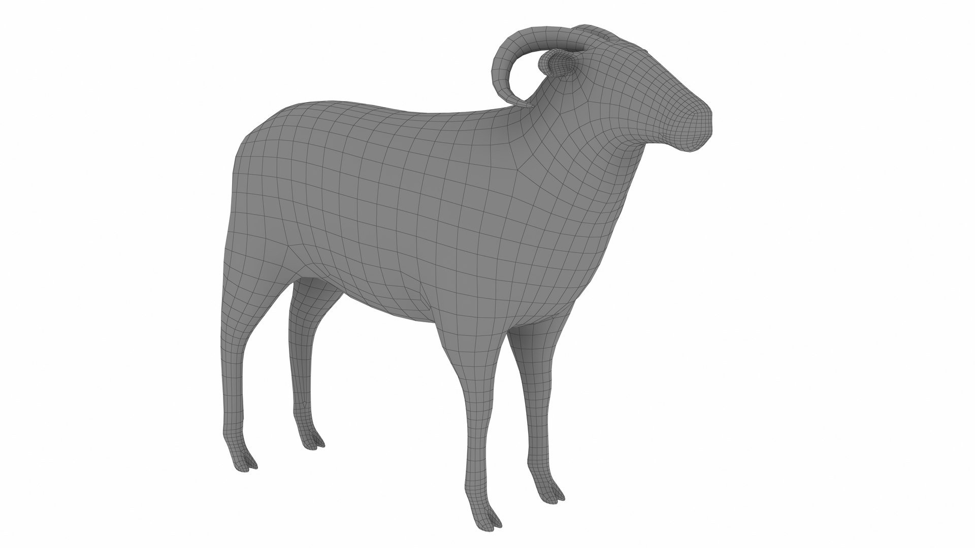 Ram 3D Model - TurboSquid 2343373