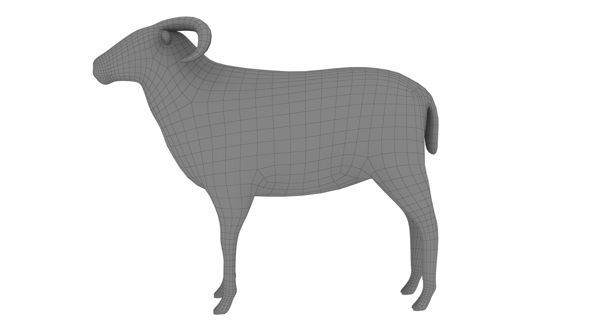 Ram 3D Model - TurboSquid 2343373