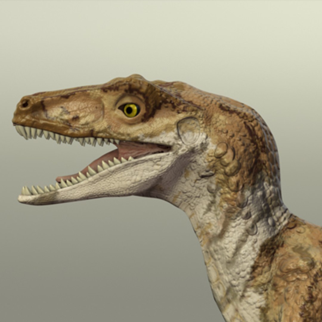 3d Velociraptor Dinosaur Model