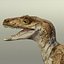 3d velociraptor dinosaur model