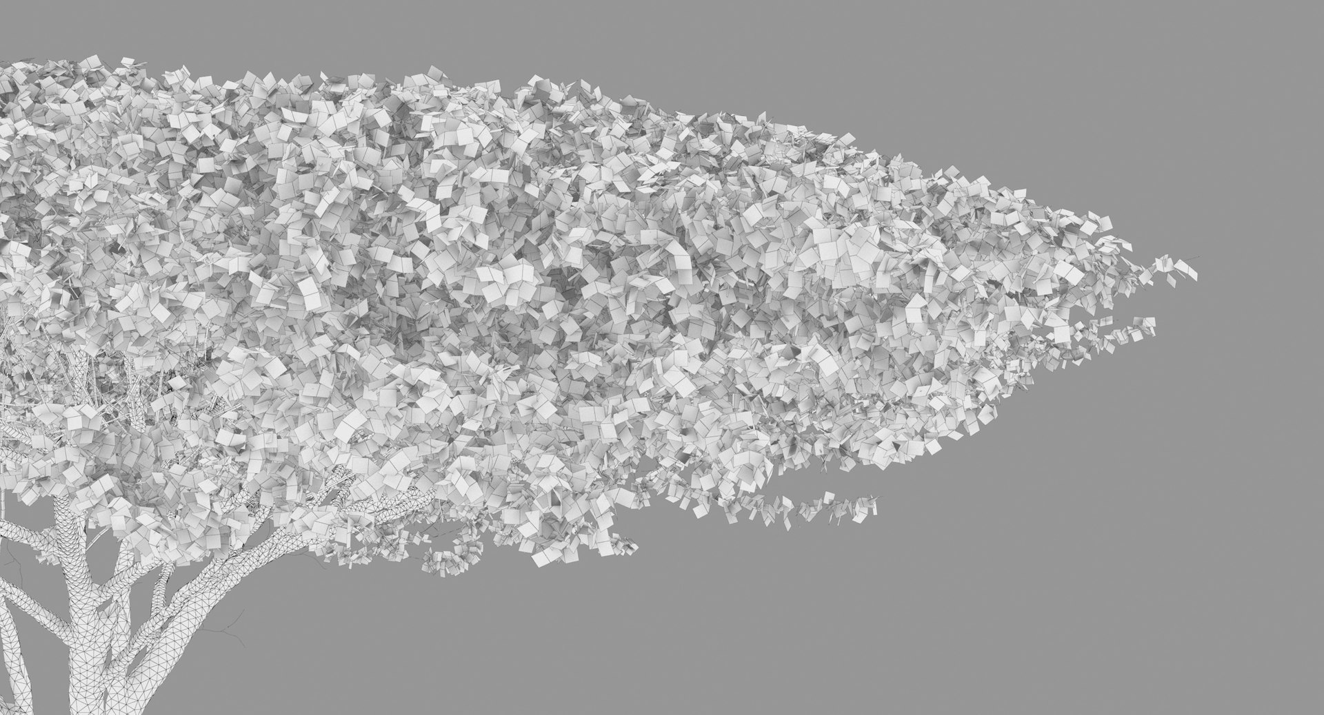 Acacia Tree 3D Model - TurboSquid 1430972