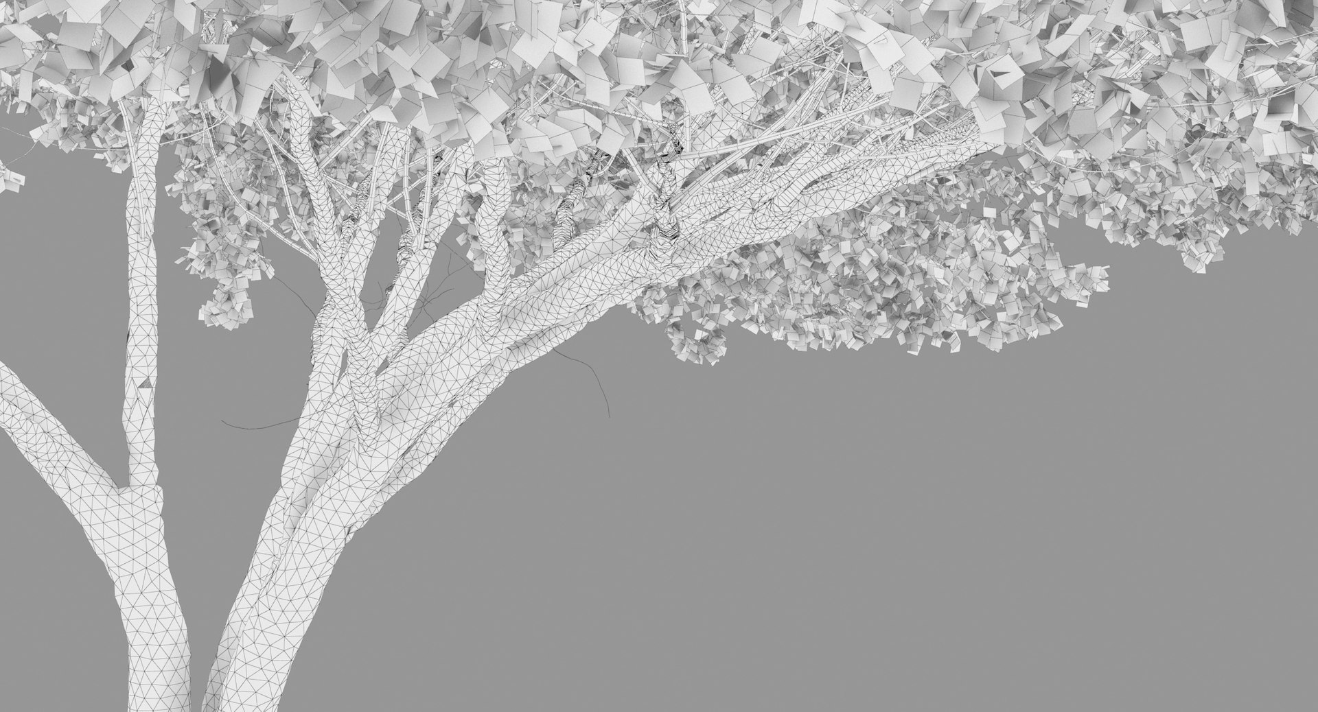 Acacia Tree 3D Model - TurboSquid 1430972