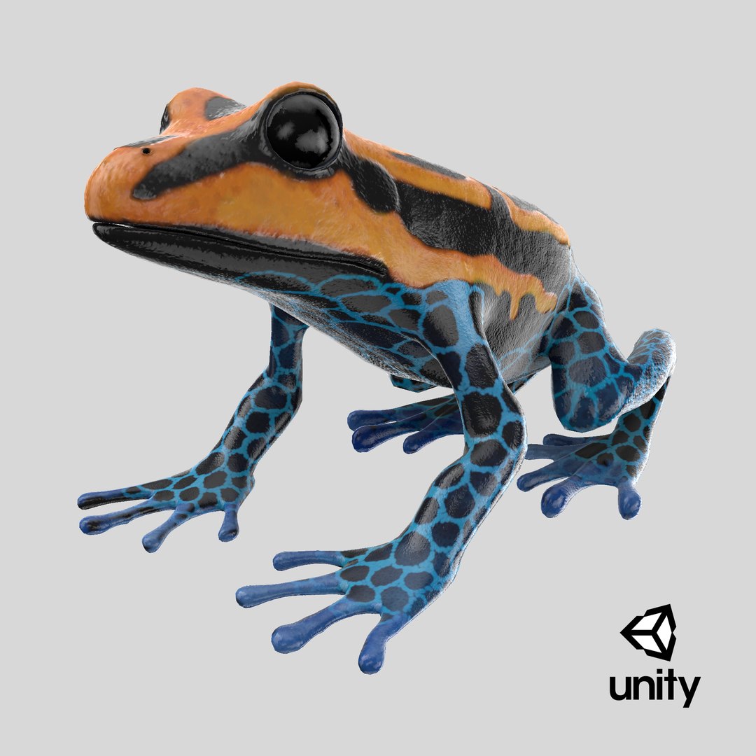 3D Poison Dart Frog - TurboSquid 2123219