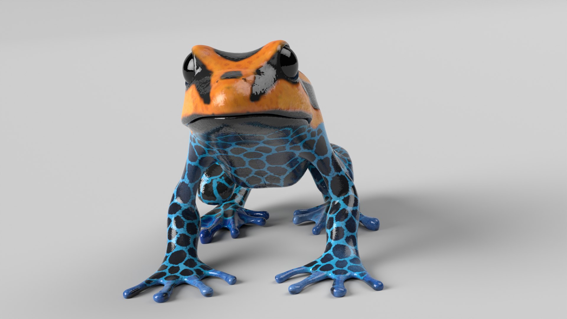 3D Poison Dart Frog - TurboSquid 2123219
