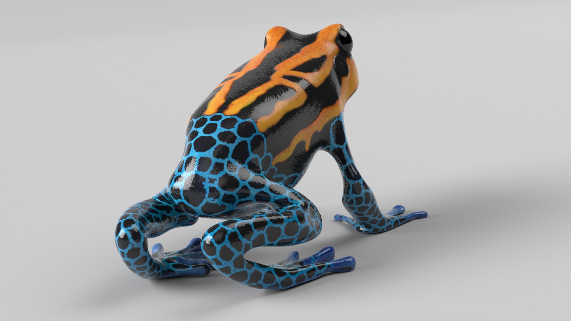 3D Poison Dart Frog - TurboSquid 2123219