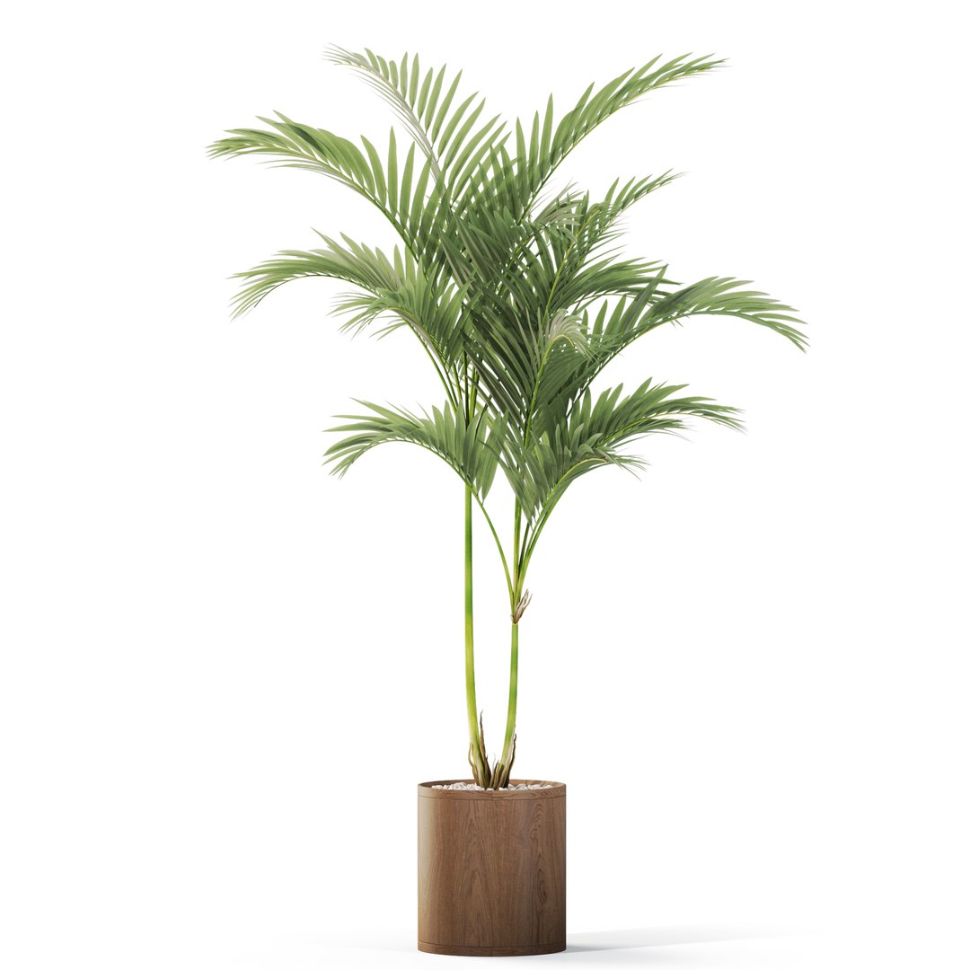 Plants Collection 1099 3D Model - TurboSquid 2248930