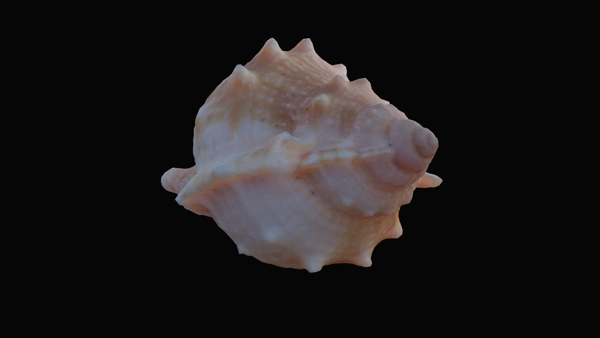 3D Shell Angular Triton Model - TurboSquid 1627515
