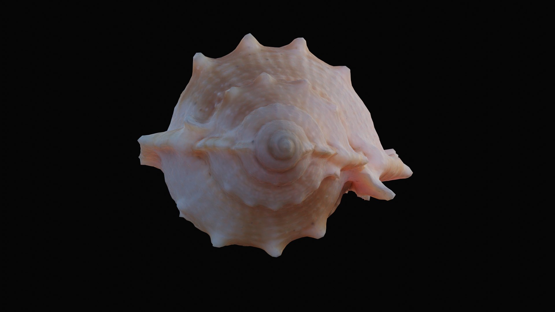 3D Shell Angular Triton Model - TurboSquid 1627515