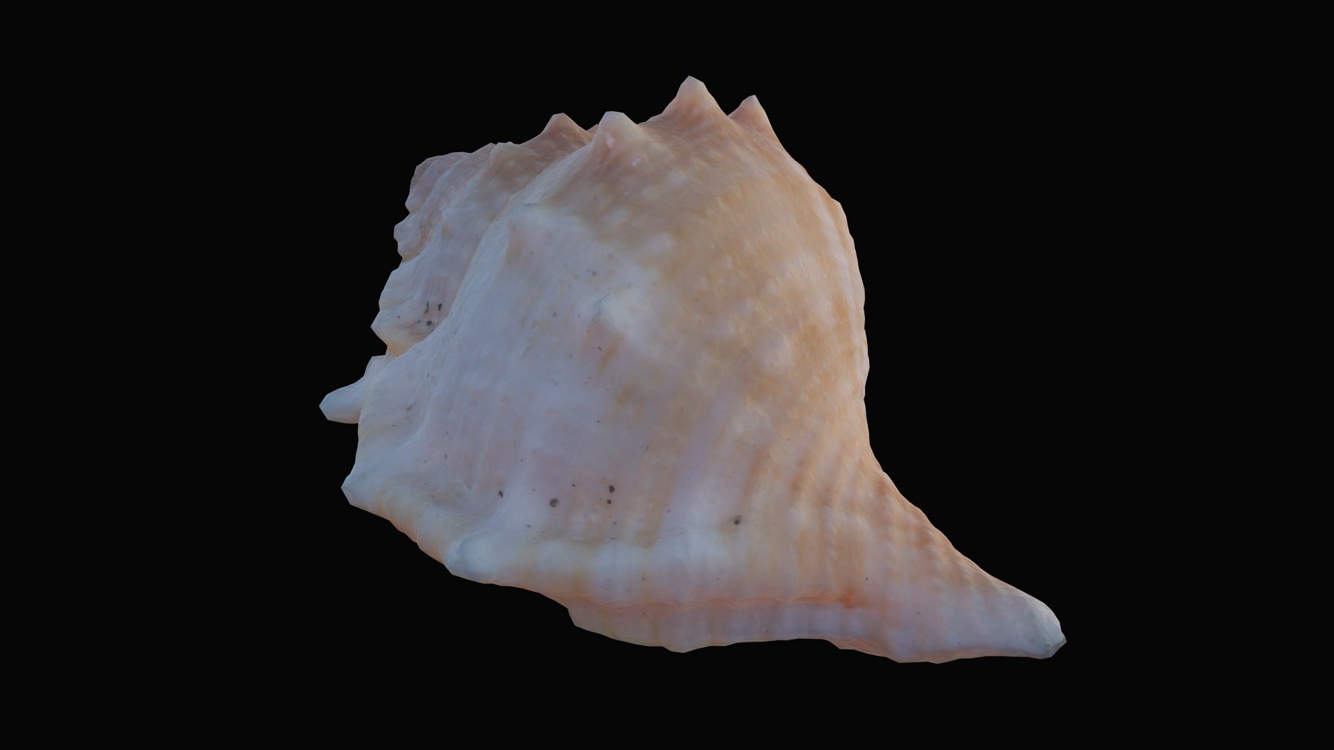 3D Shell Angular Triton Model - TurboSquid 1627515