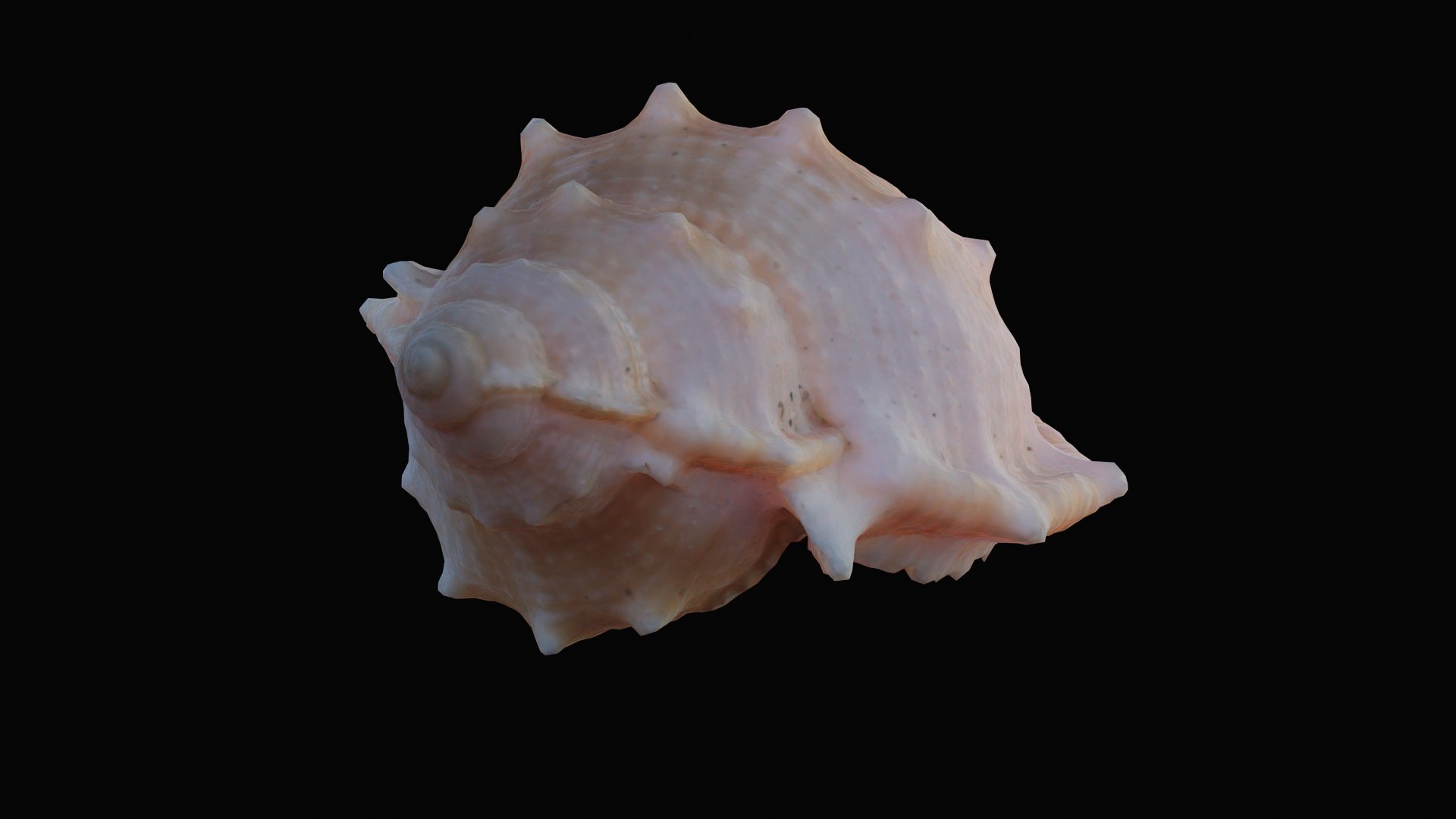 3D Shell Angular Triton Model - TurboSquid 1627515