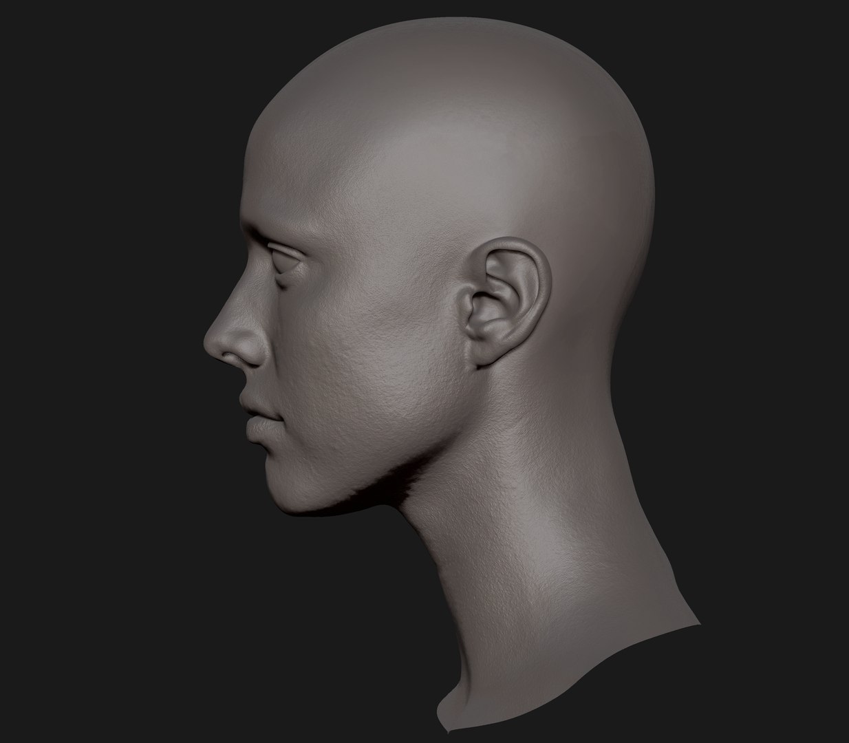 Margaret Qualley Likeness Sculpt 3D Model 3D Model - TurboSquid 2402584