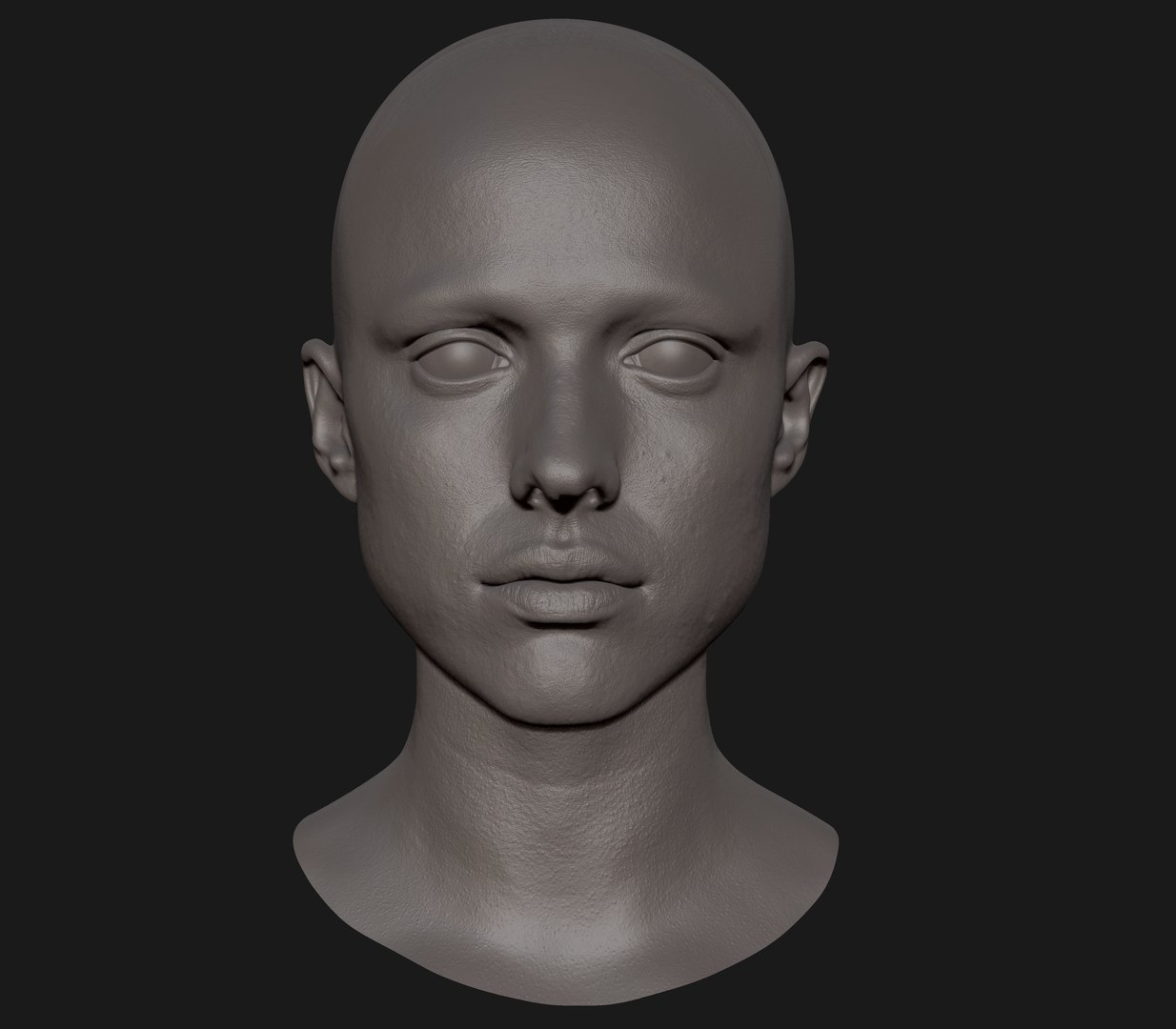 Margaret Qualley Likeness Sculpt 3D Model 3D Model - TurboSquid 2402584
