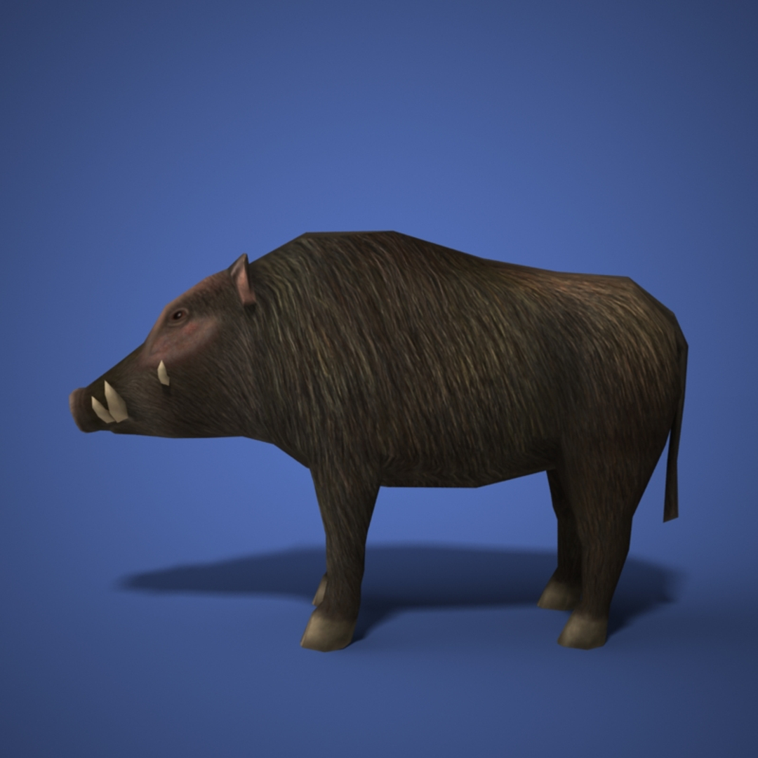 3d boar animal lightwave