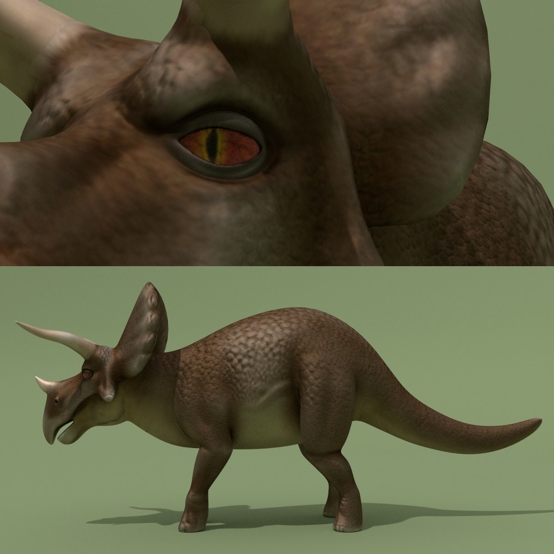 3d model of rigged animating