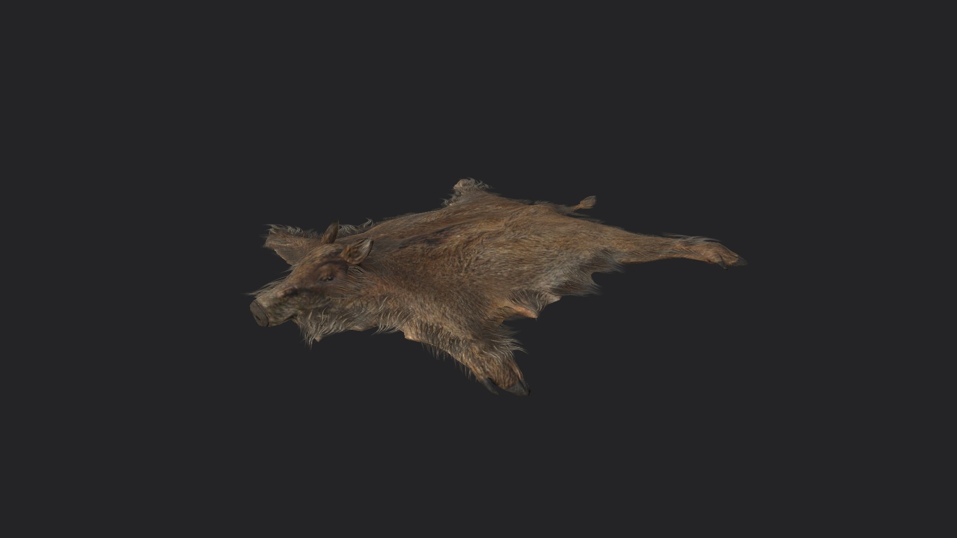 3D Pigskin 3D Model 001 Model - TurboSquid 2264019