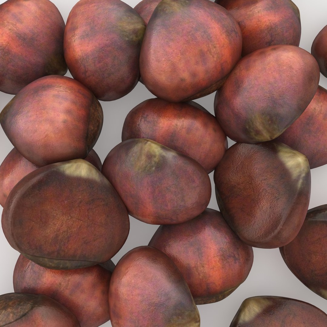 realistic chestnut pose 2 3d max