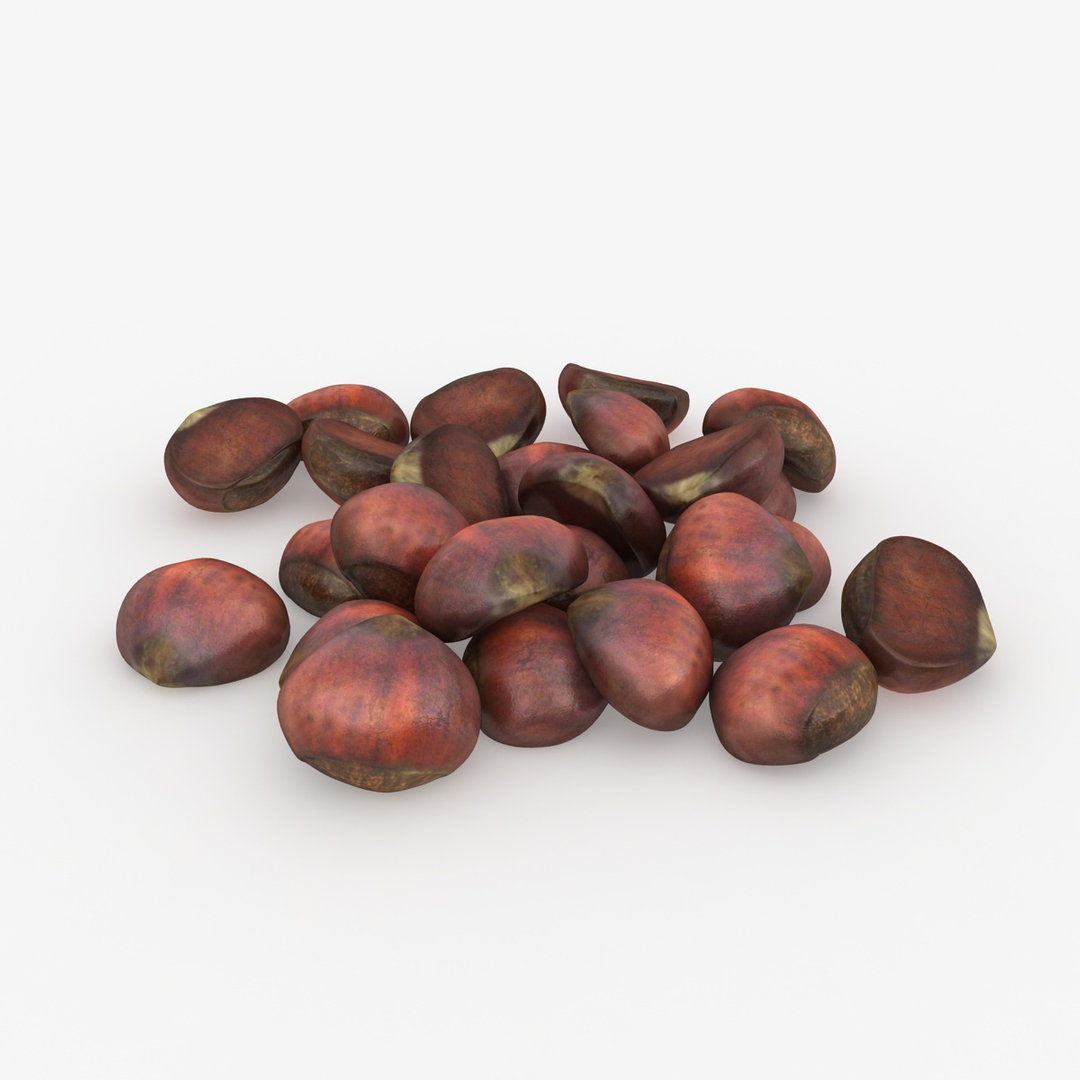 realistic chestnut pose 2 3d max