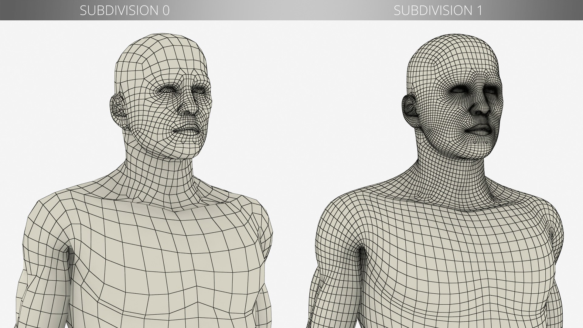 3D Male Muscular System Biceps Curls Animated Rigged For Maya Model ...