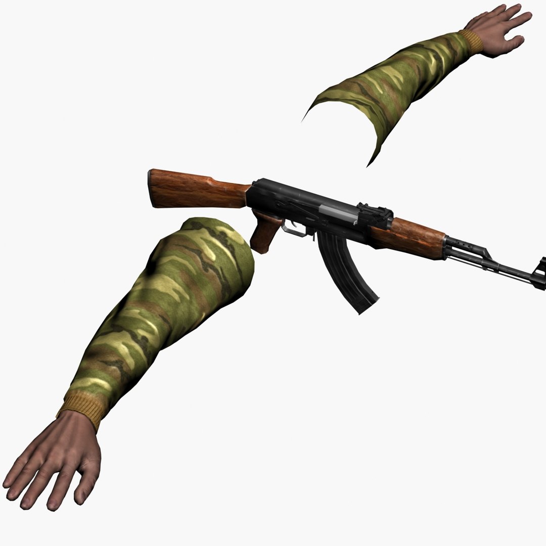 Rigged Fps Hands Max