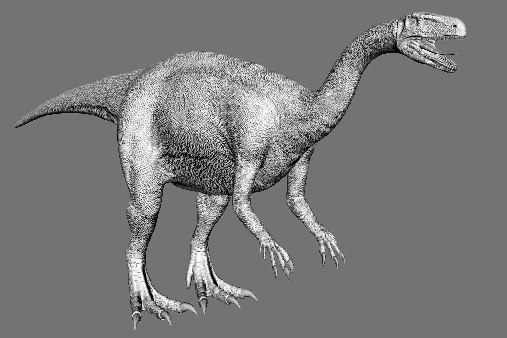 Sellosaurus Dinosaur Triassic Animal 3D Model - TurboSquid 2330030