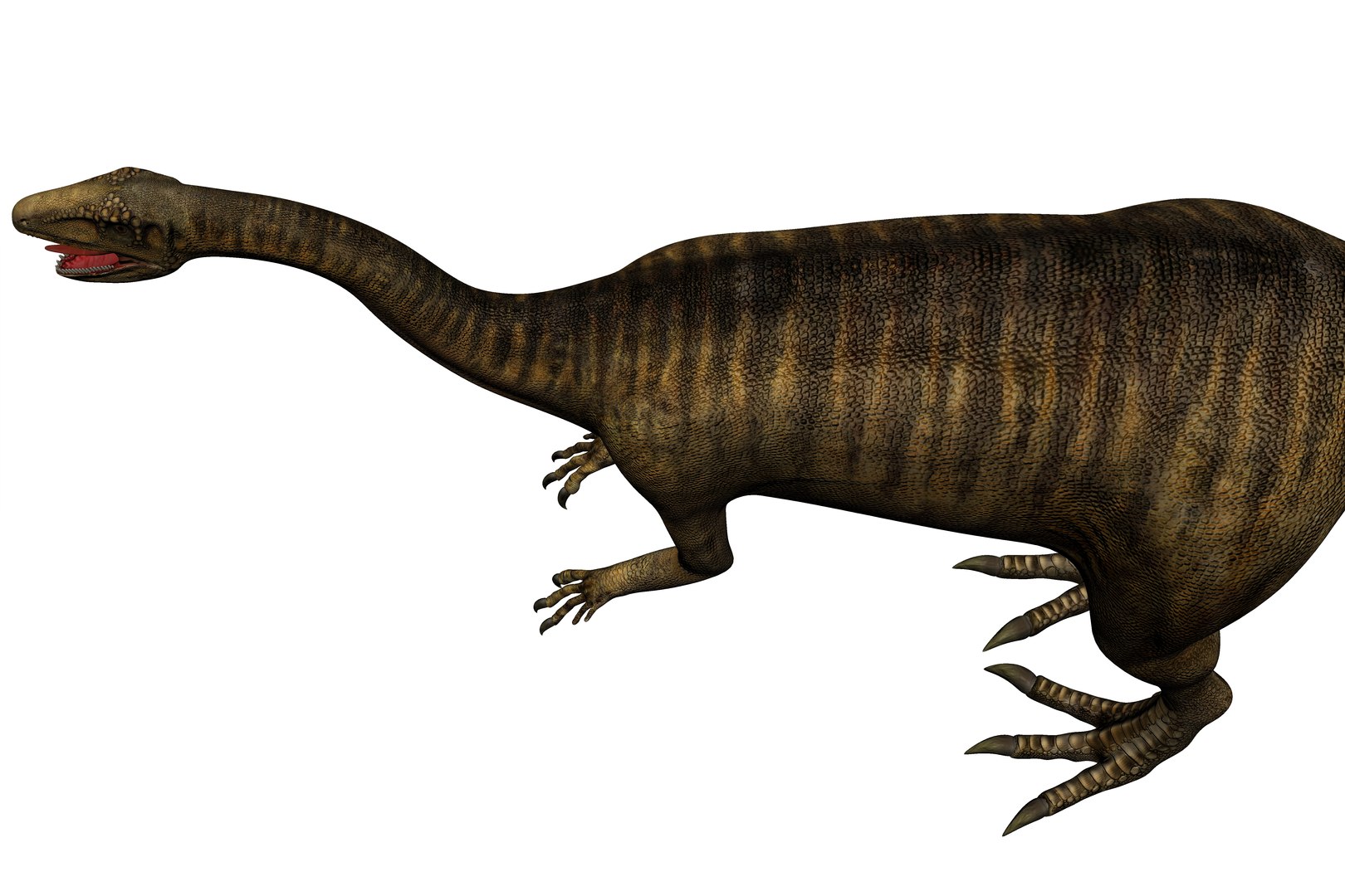 Sellosaurus Dinosaur Triassic Animal 3D Model - TurboSquid 2330030