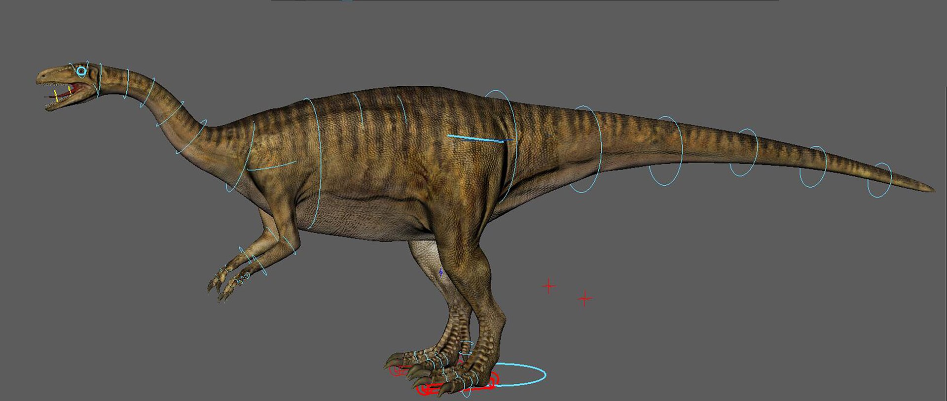 Sellosaurus Dinosaur Triassic Animal 3D Model - TurboSquid 2330030