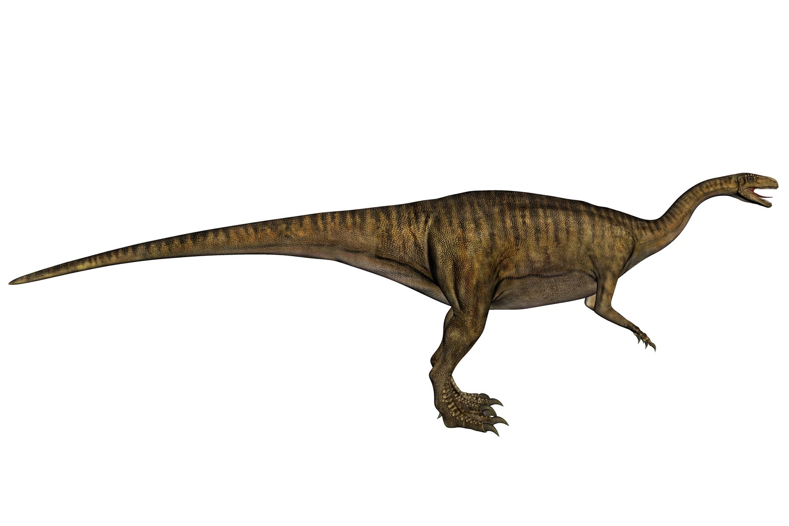 Sellosaurus Dinosaur Triassic Animal 3D Model - TurboSquid 2330030