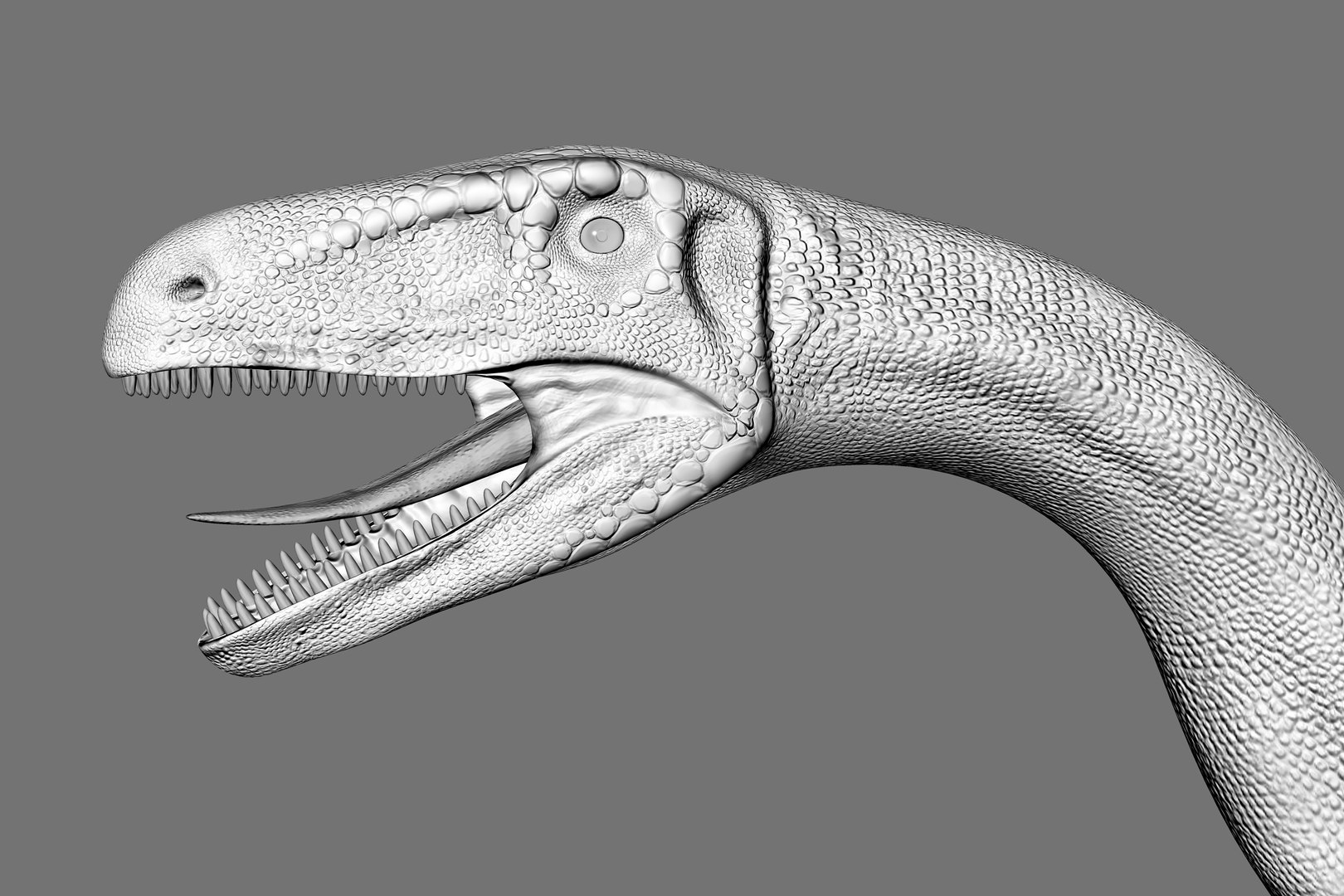 Sellosaurus Dinosaur Triassic Animal 3D Model - TurboSquid 2330030