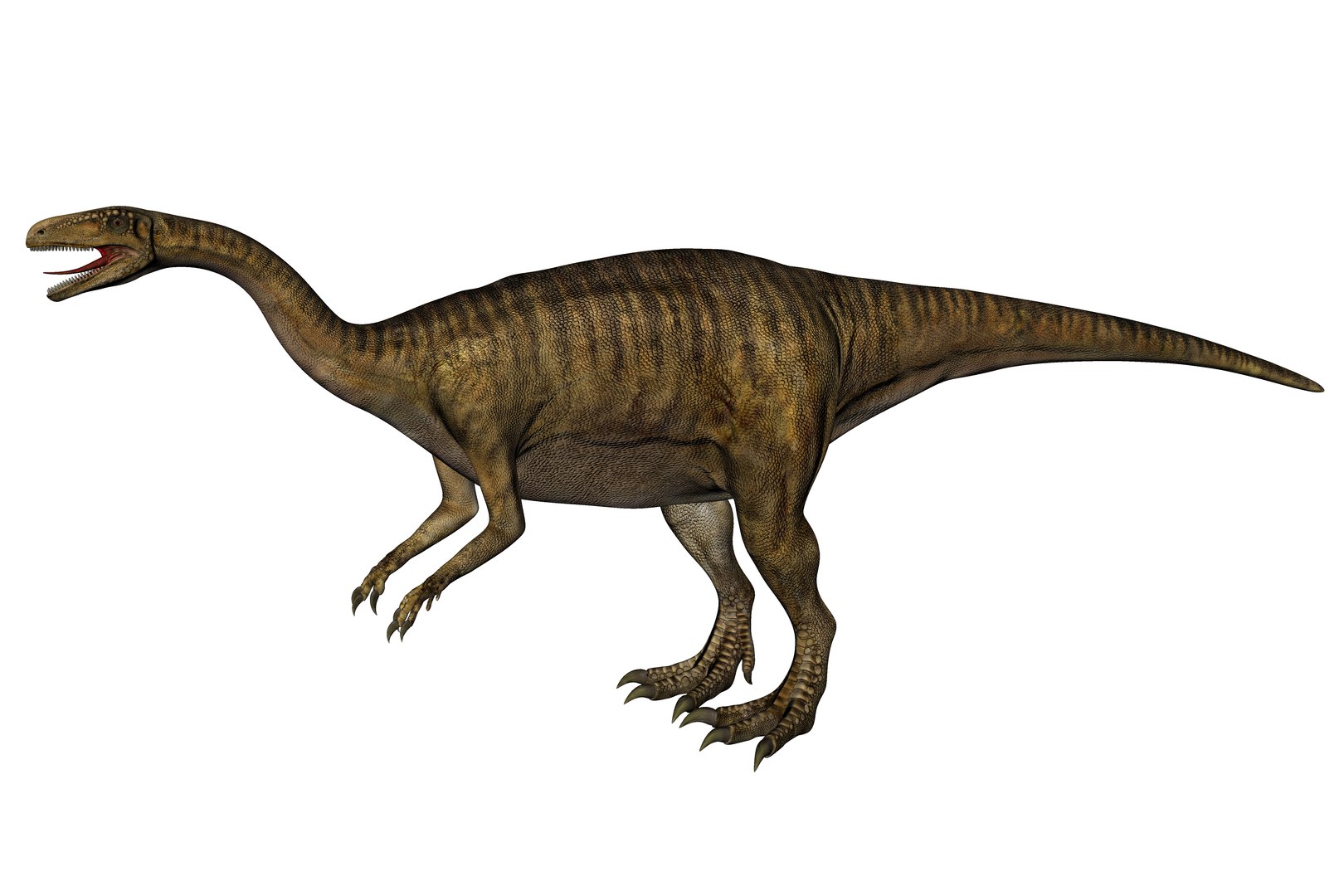 Sellosaurus Dinosaur Triassic Animal 3D Model - TurboSquid 2330030