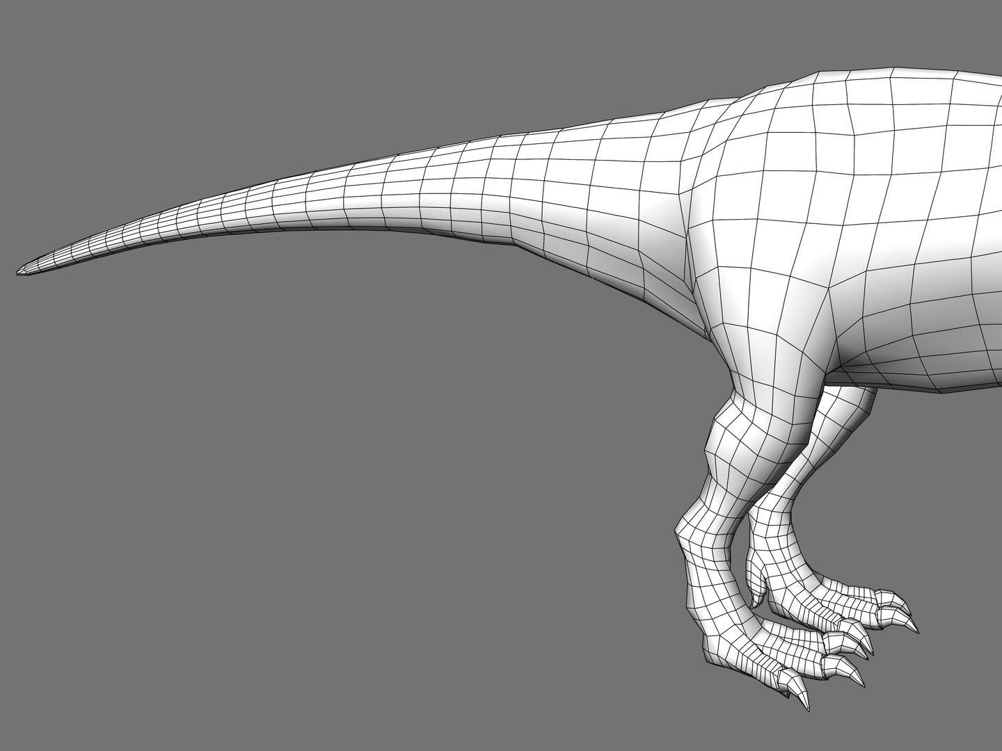 Sellosaurus Dinosaur Triassic Animal 3D Model - TurboSquid 2330030
