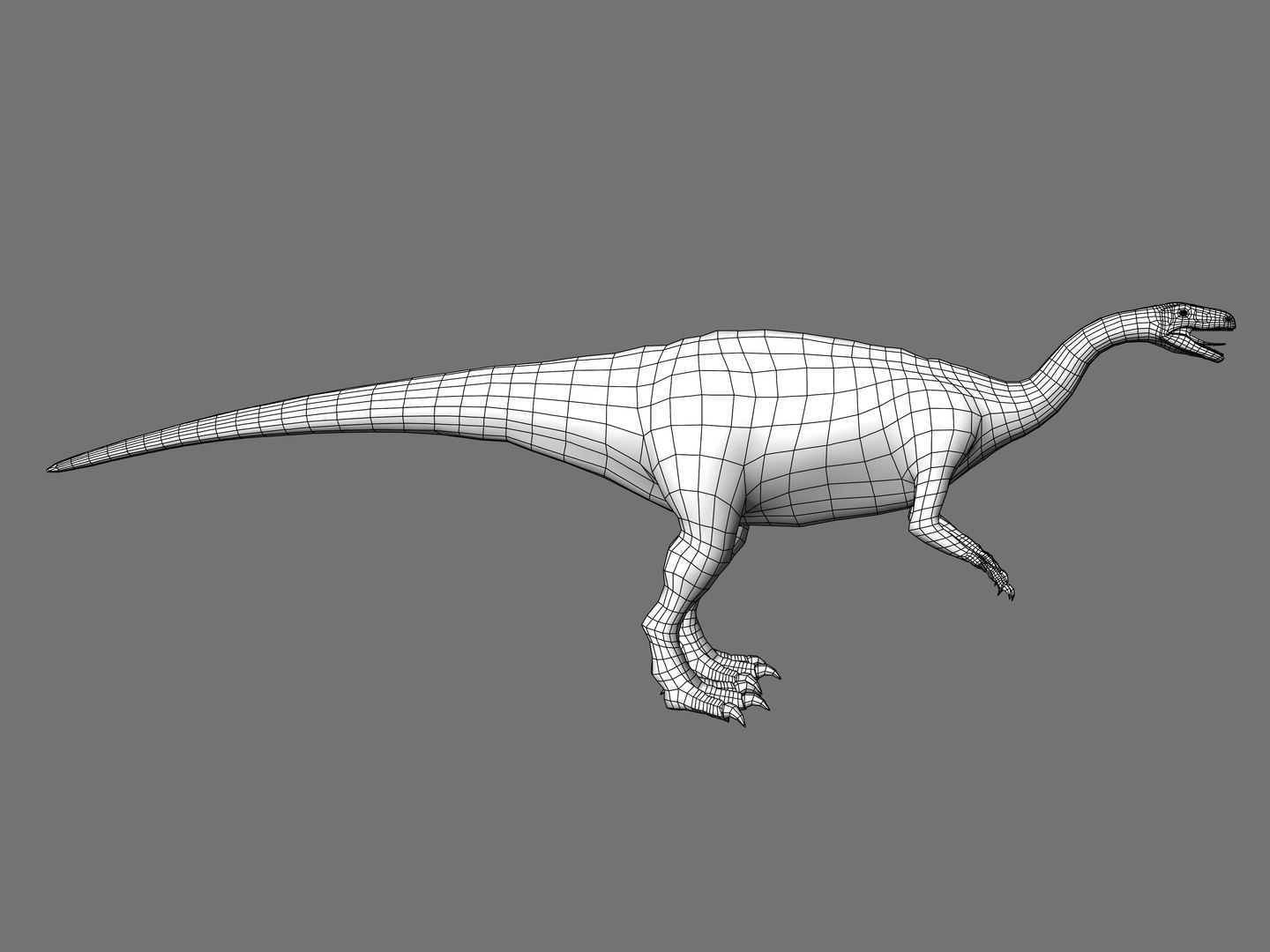 Sellosaurus Dinosaur Triassic Animal 3D Model - TurboSquid 2330030