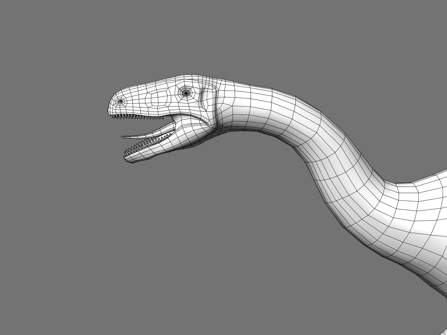 Sellosaurus Dinosaur Triassic Animal 3D Model - TurboSquid 2330030