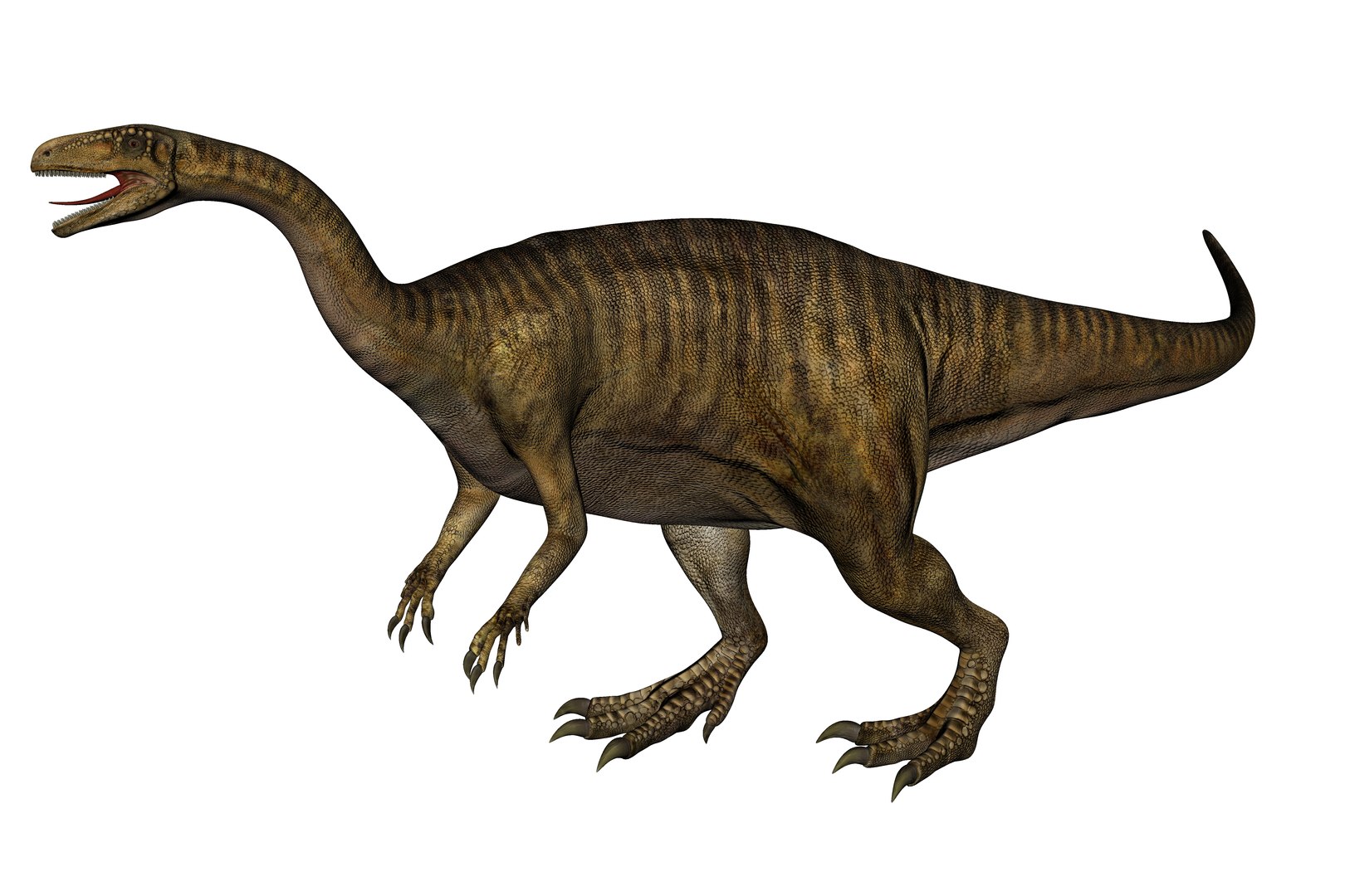 Sellosaurus Dinosaur Triassic Animal 3D Model - TurboSquid 2330030