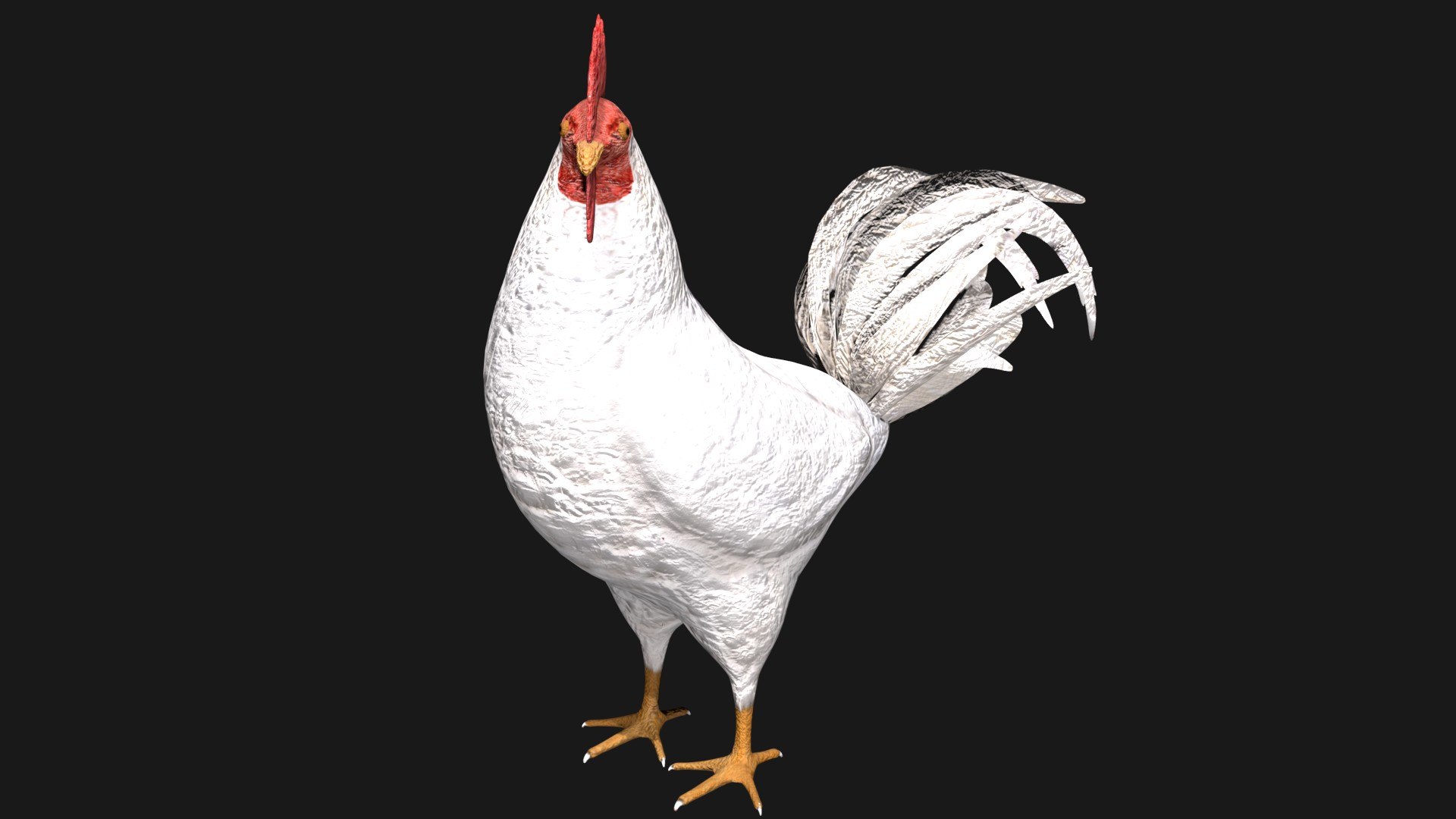3D Model Rooster Hen Rigged - TurboSquid 1664656