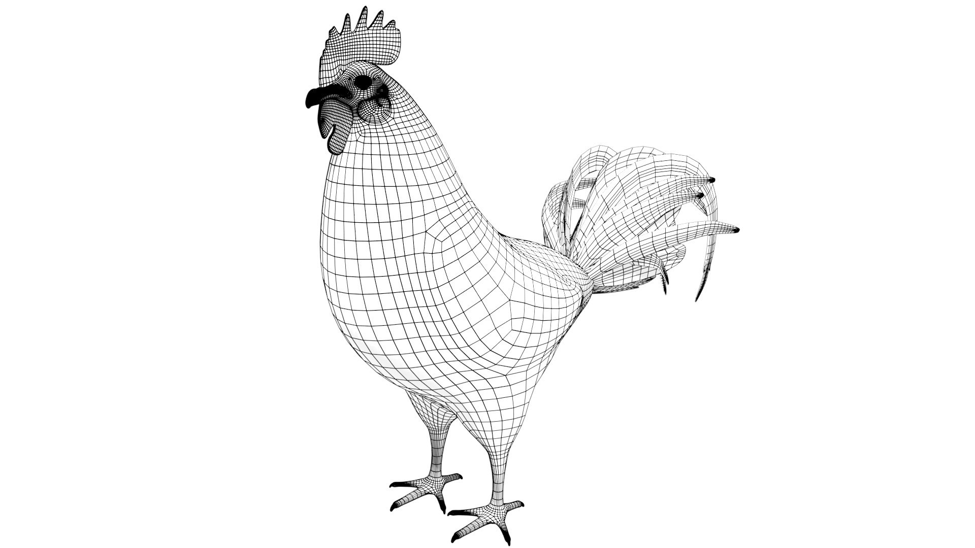3D Model Rooster Hen Rigged - TurboSquid 1664656