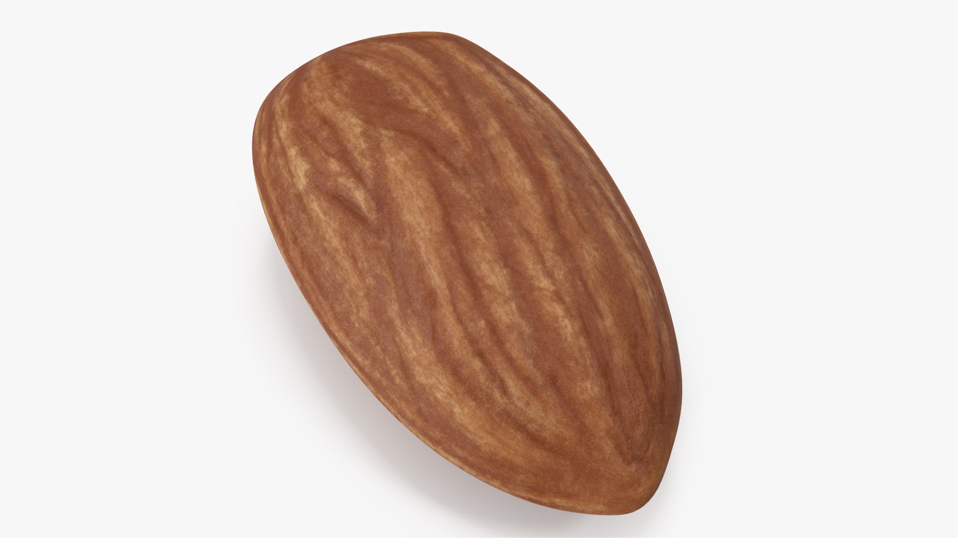Almond 3 3D Model - TurboSquid 1635851