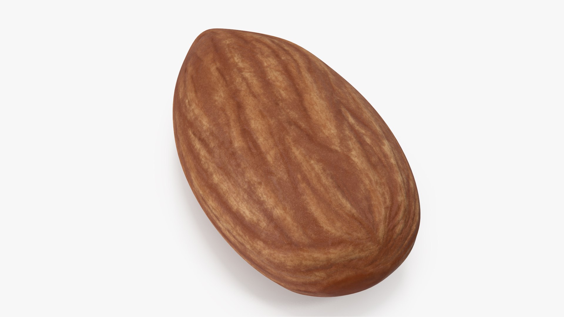 Almond 3 3D Model - TurboSquid 1635851