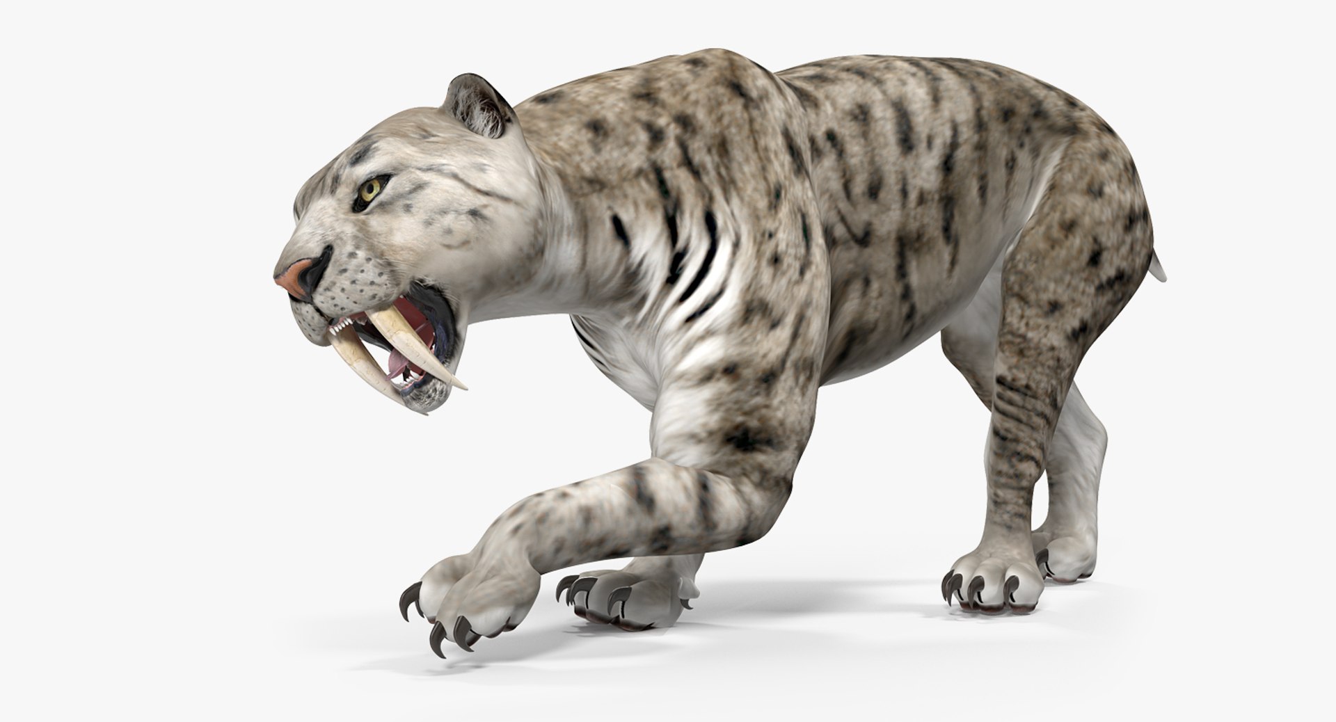 Arctic Saber Tooth Cat 3D Model - TurboSquid 1329521