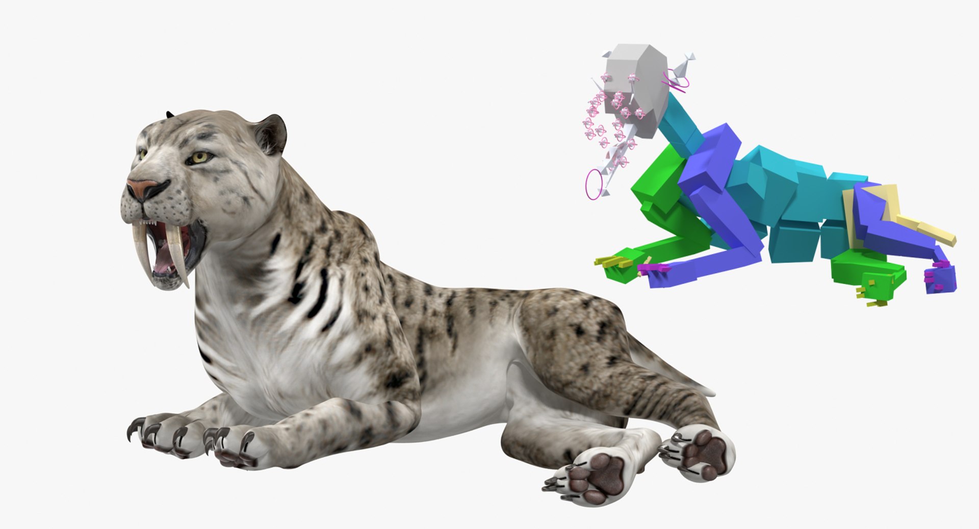 Arctic Saber Tooth Cat 3D Model - TurboSquid 1329521