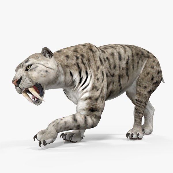 Arctic saber tooth cat 3D model - TurboSquid 1329521